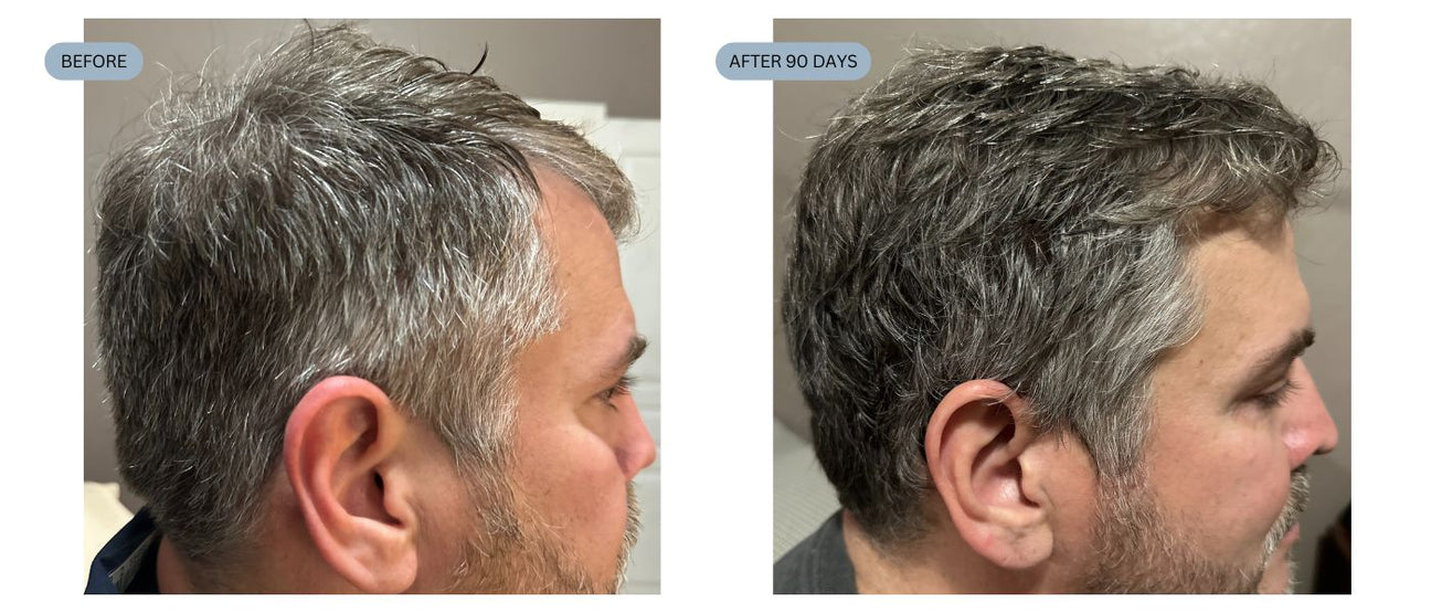 Saisei Collection – NatureLab. TOKYO